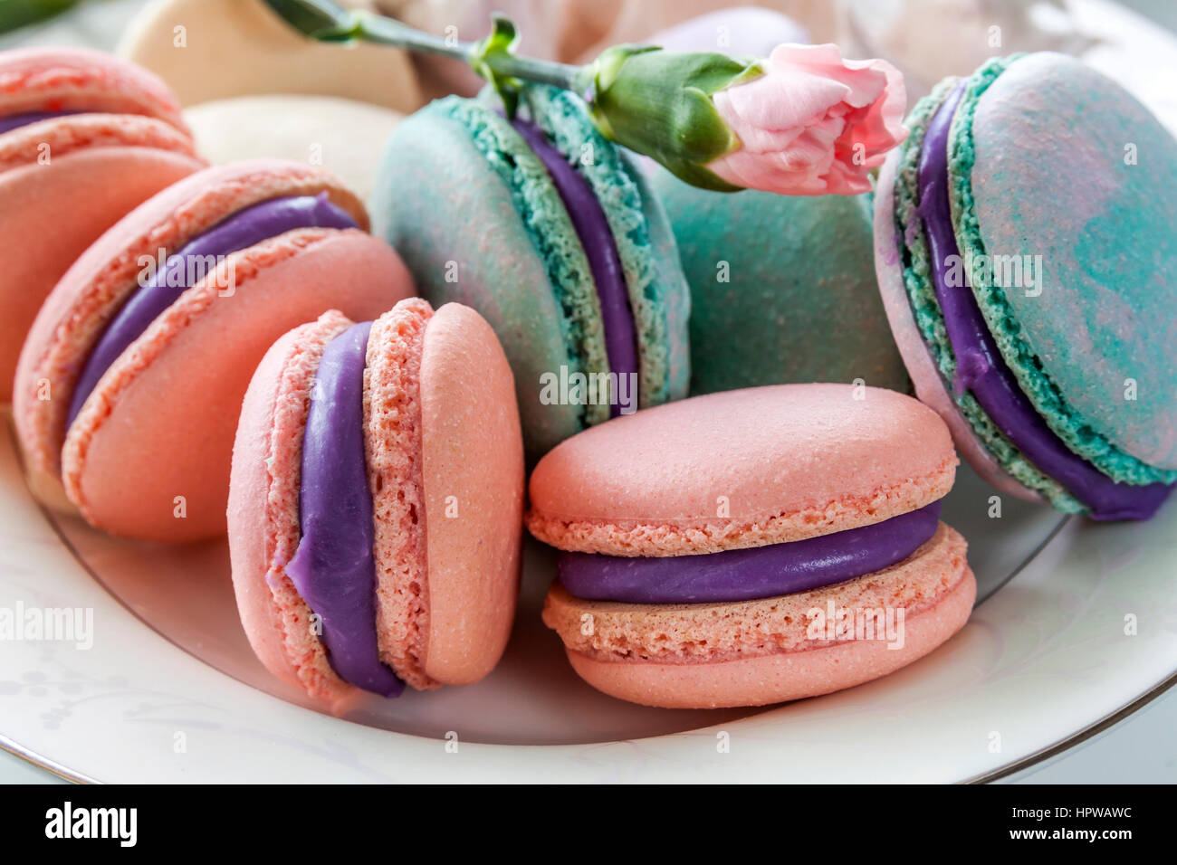 Sweet and colorful french macaroons or macaron in ceramic white plate ...