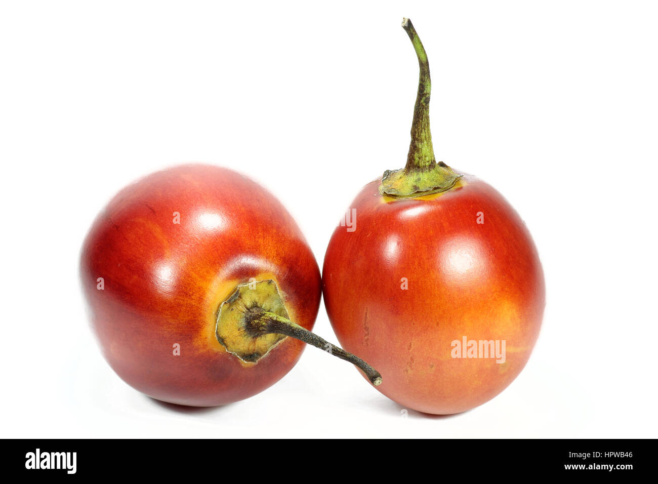 Tamarillo tree hi-res stock photography and images - Alamy