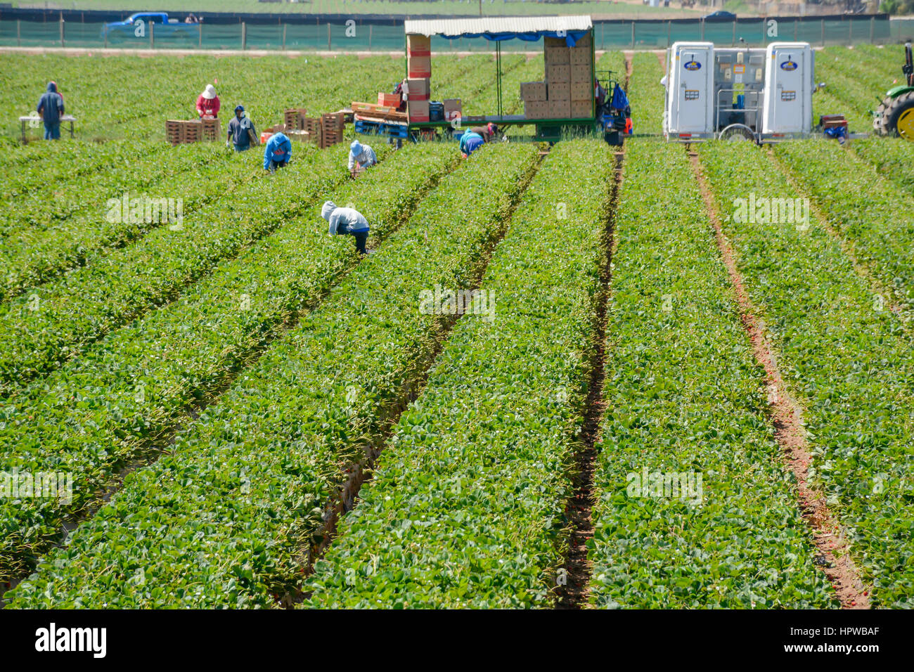 Undocumented migrant workers hi-res stock photography and images - Alamy