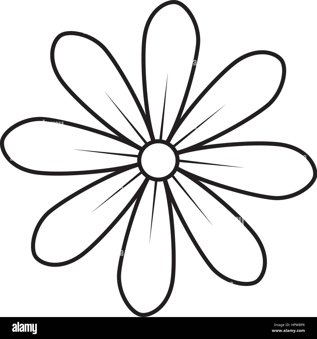 Black And White Daisy Flower Clipart