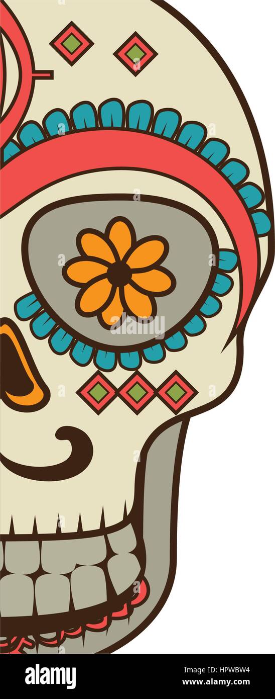 Half skull Stock Vector Images - Alamy