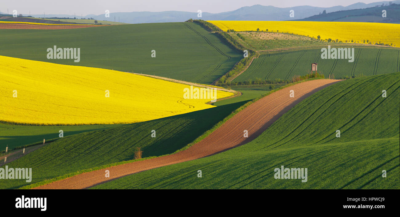 Abstract yellow landscape hi-res stock photography and images - Alamy