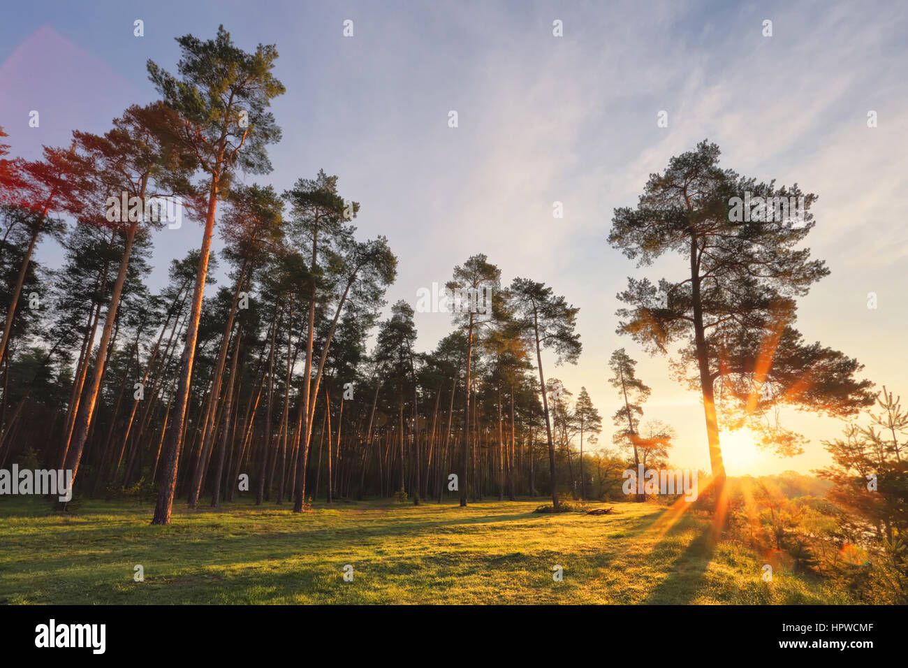 Beautiful landscape on forest hi-res stock photography and images - Alamy