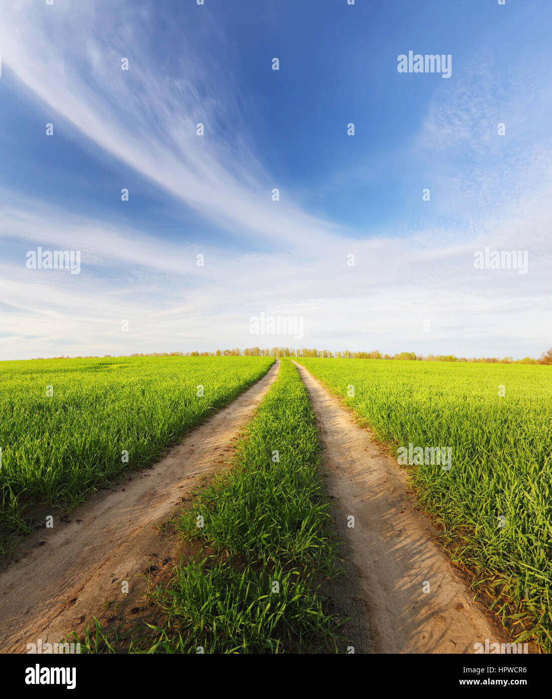 Green field road landscape hi-res stock photography and images - Alamy