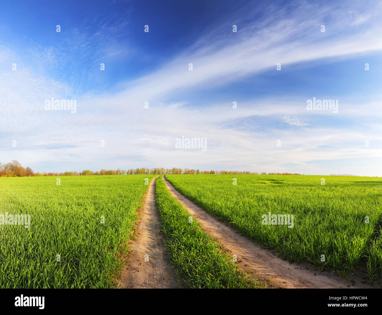 Sunny green field hi-res stock photography and images - Alamy