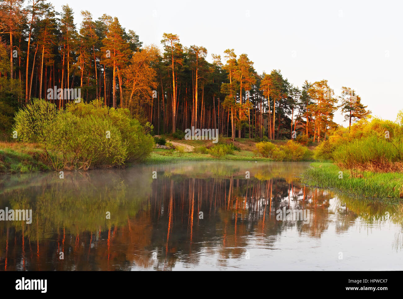 Rising morning sun shining on lake and forest Stock Photo - Alamy