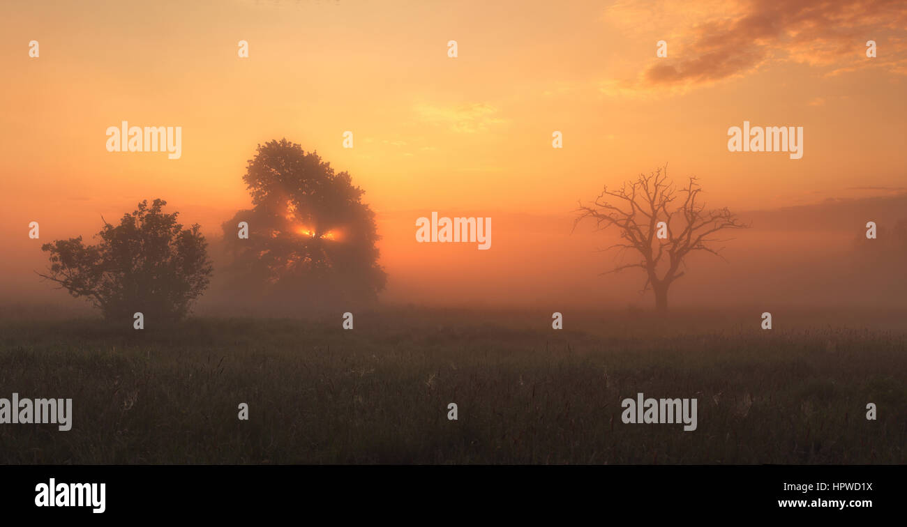 Sunrise color palette hi-res stock photography and images - Alamy