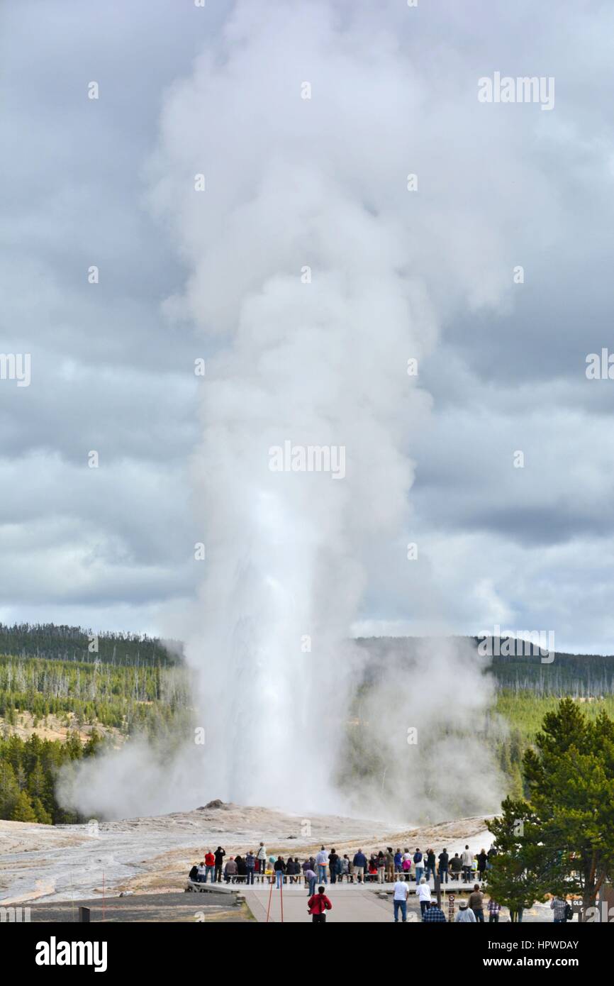 Old Faithful Geyser Stock Photo - Alamy