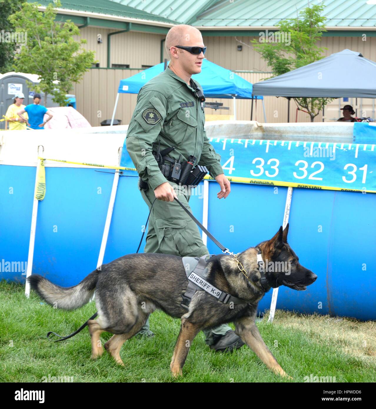 Police Dog Demonstration Stock Photo - Alamy