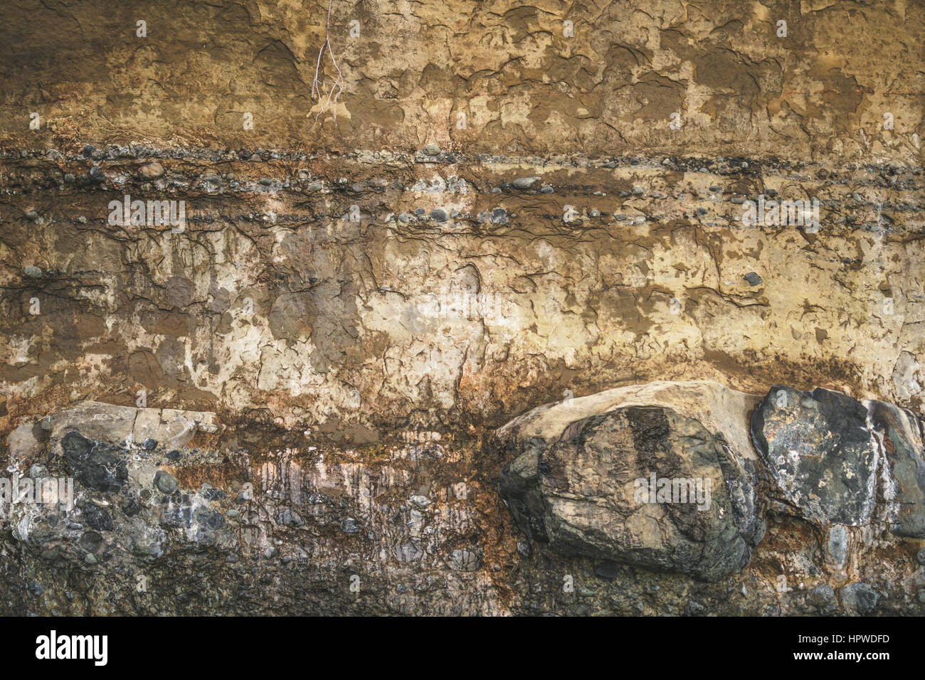 Sandstone wall with fossils and geological beds Stock Photo - Alamy