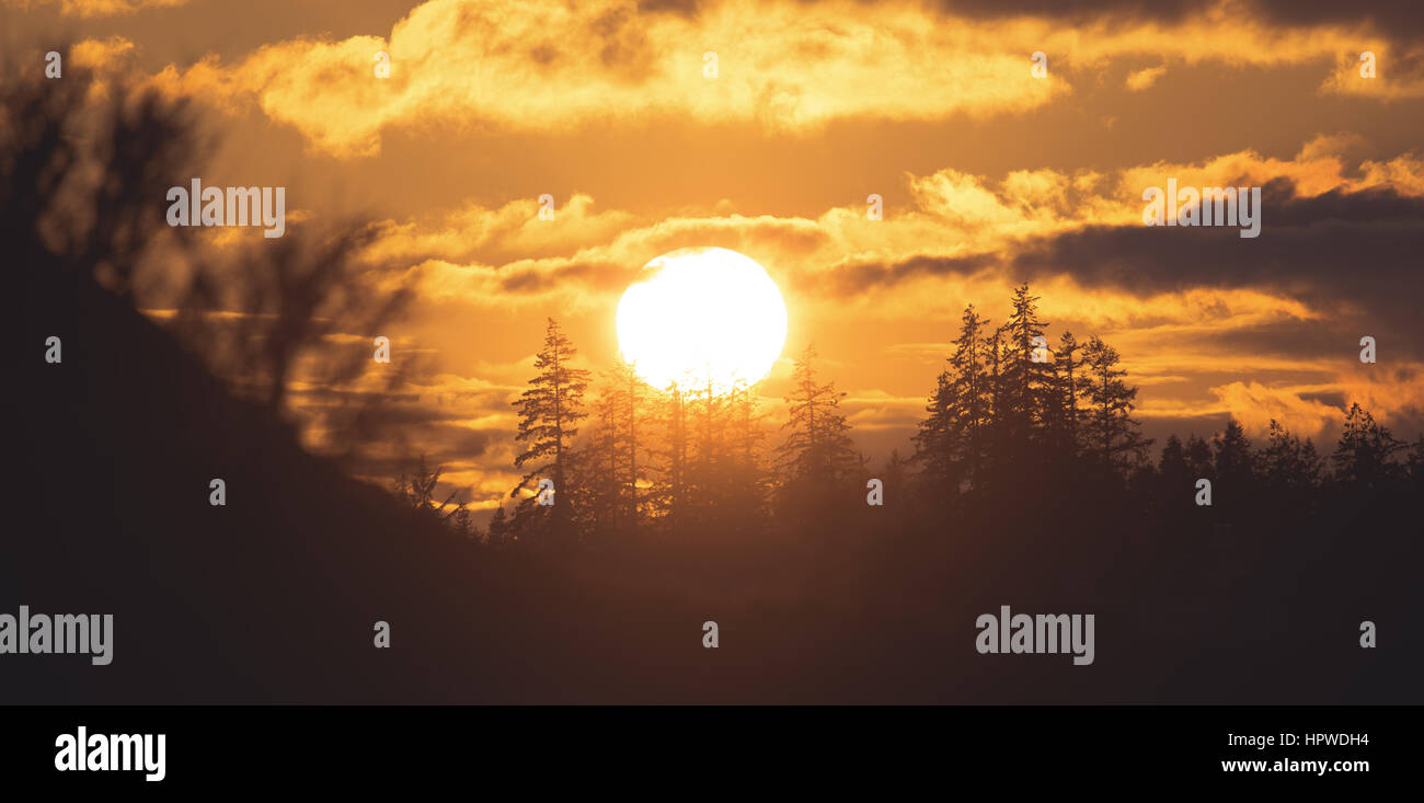 Big summer sun setting behind trees Stock Photo - Alamy