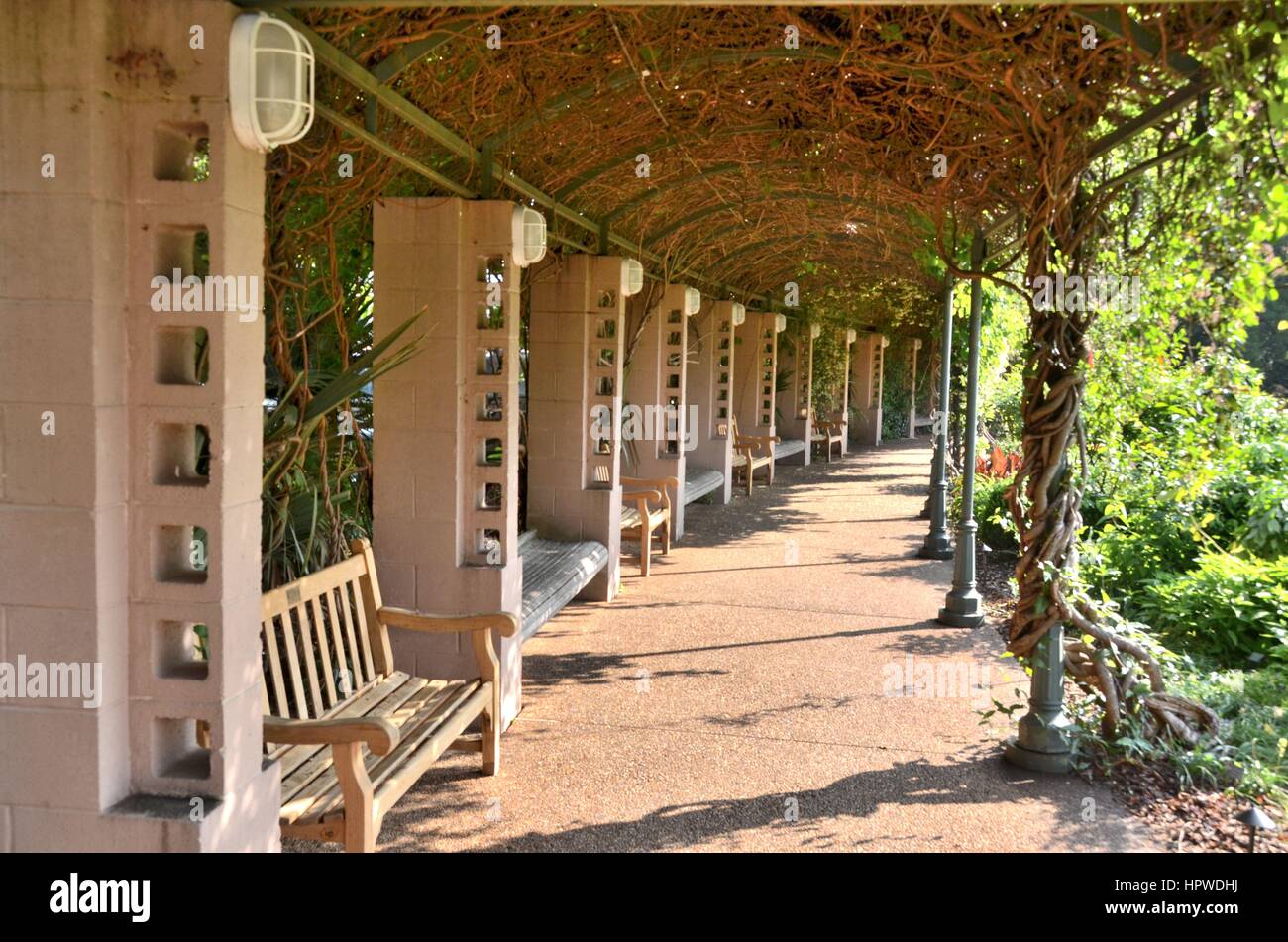 Botanic Gardens Tree-lined Path Stock Photo - Alamy