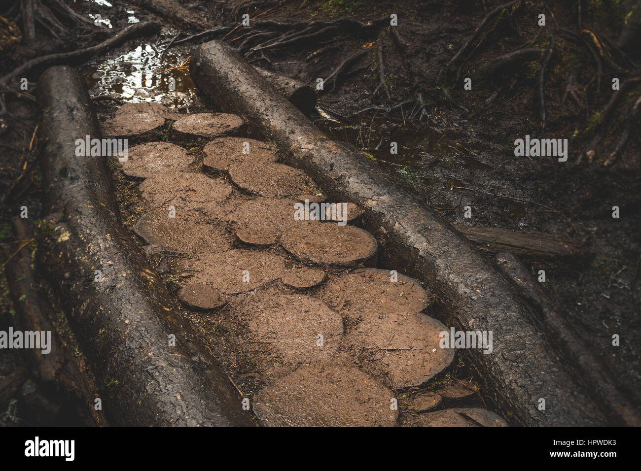Real wooden forest path Stock Photo - Alamy