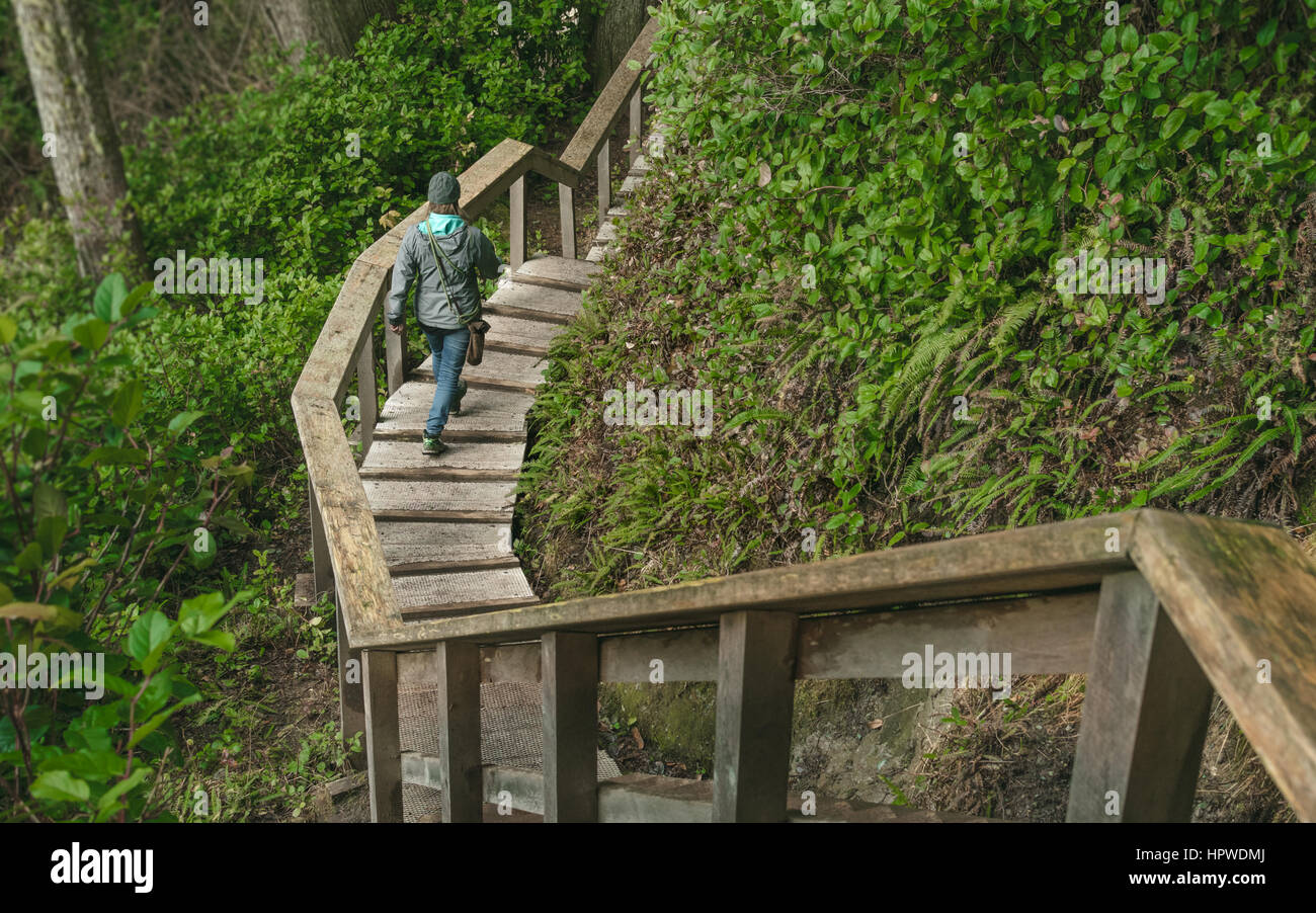 Strong female presence hi-res stock photography and images - Alamy
