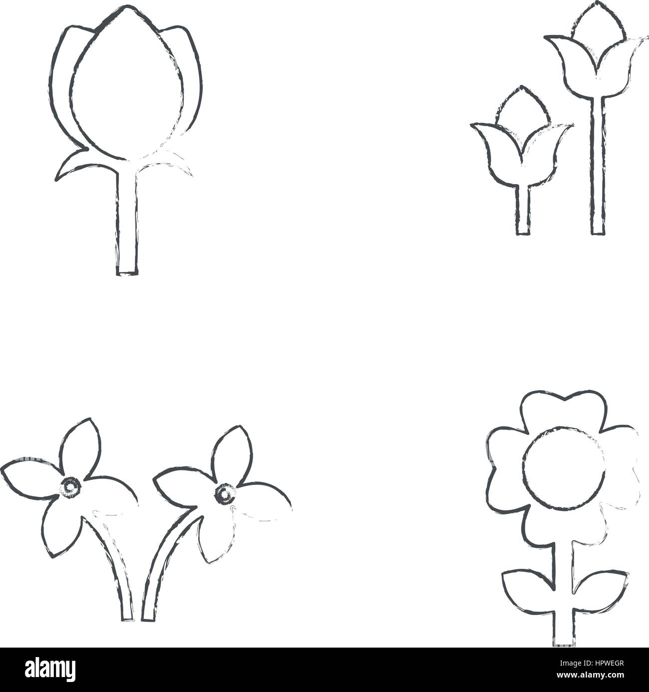 Vector Flower icon Draw Stock Vector Image & Art - Alamy