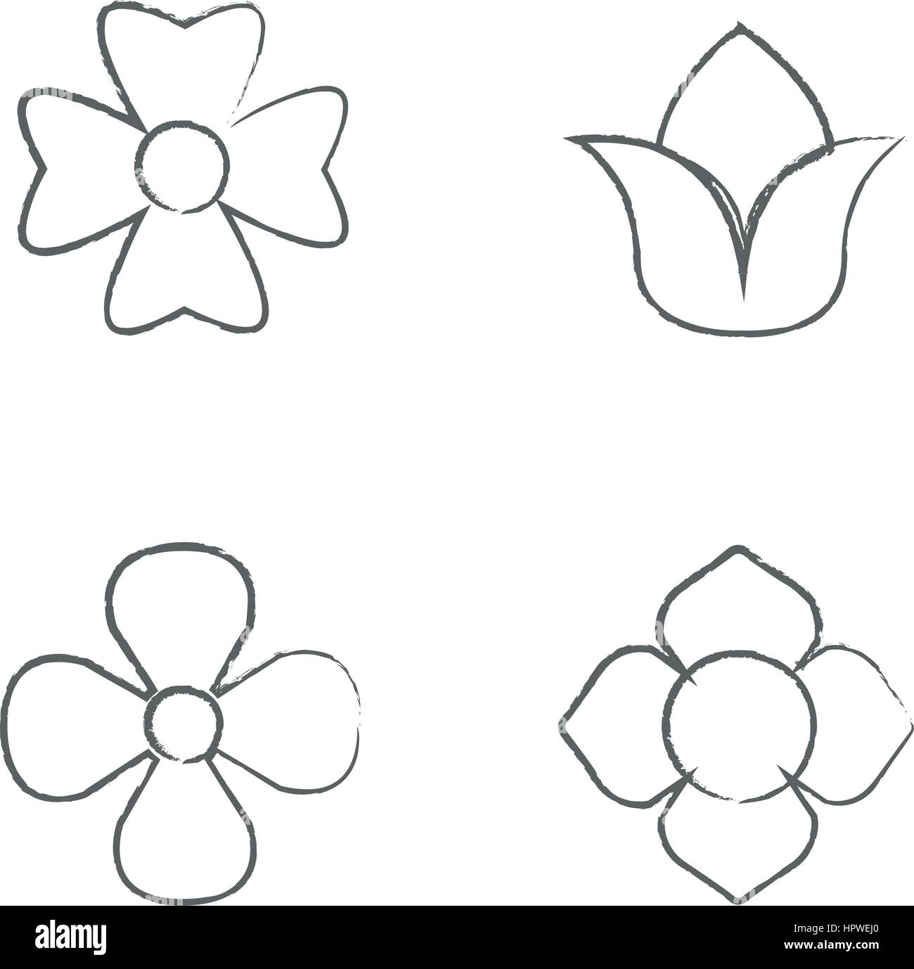 Collection abstract star flower icons hi-res stock photography and ...