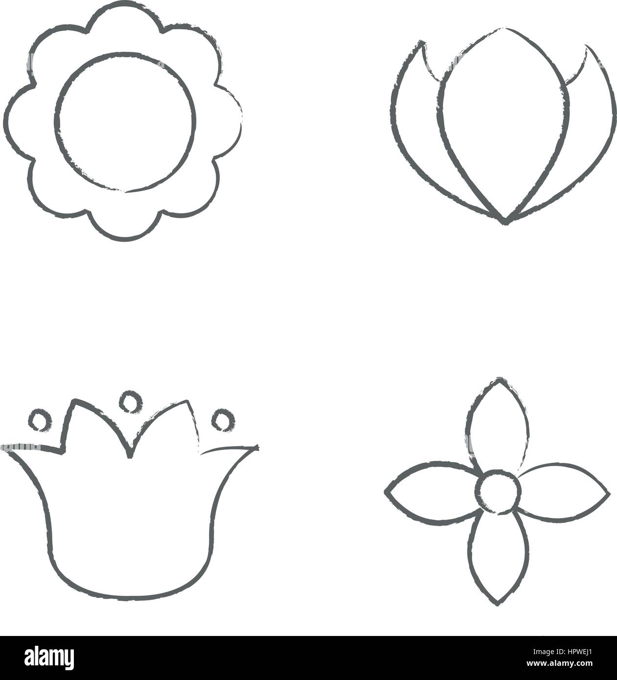 Draw set Flower Icons Set, Vector Design Stock Vector Image & Art - Alamy