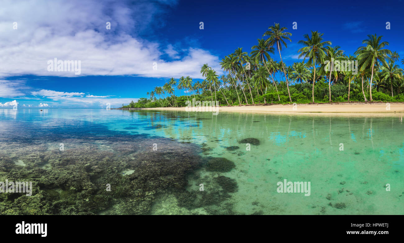 Tropical beach on Samoa Island with palm trees and coral Stock Photo ...