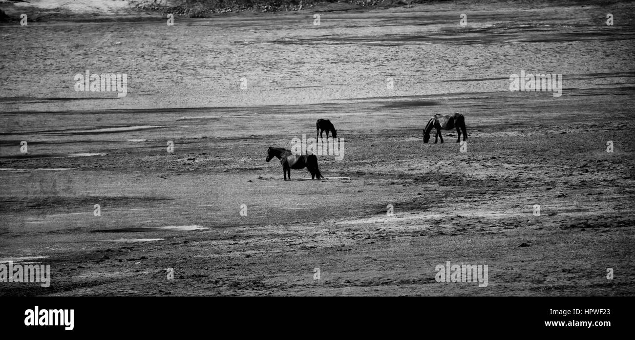 Breathtaking nature landscape panoramic Black and White Stock Photos ...