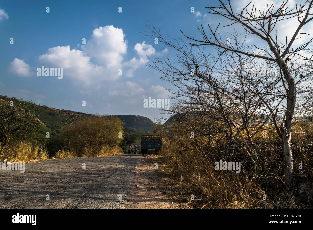 Ranthambore tomb hi-res stock photography and images - Alamy