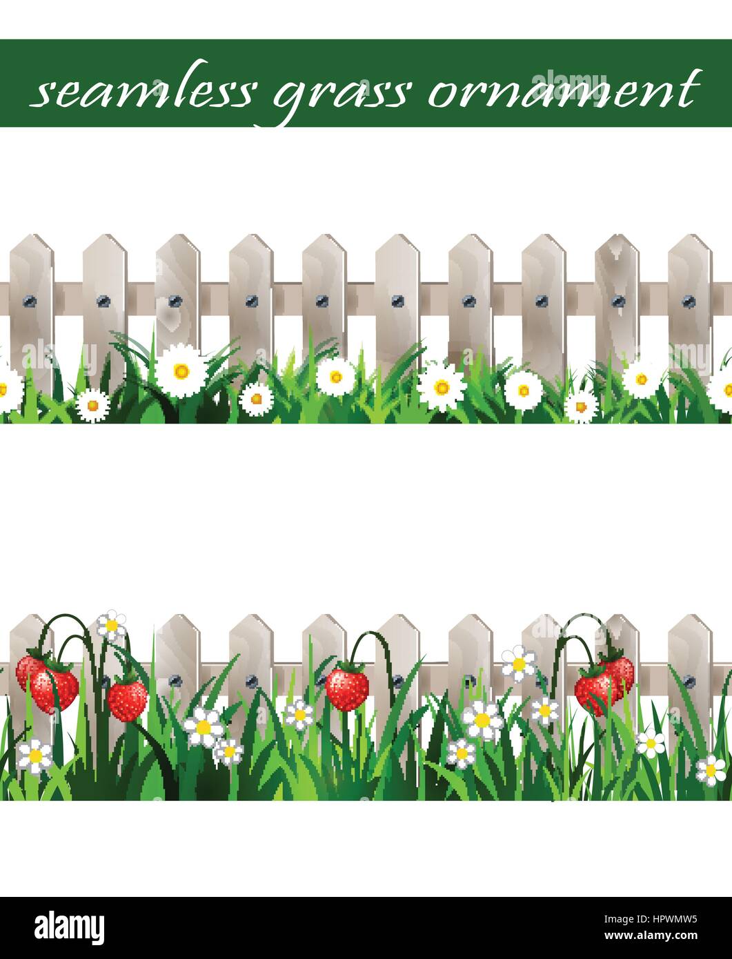 Green Grass seamless set Stock Vector Image & Art - Alamy