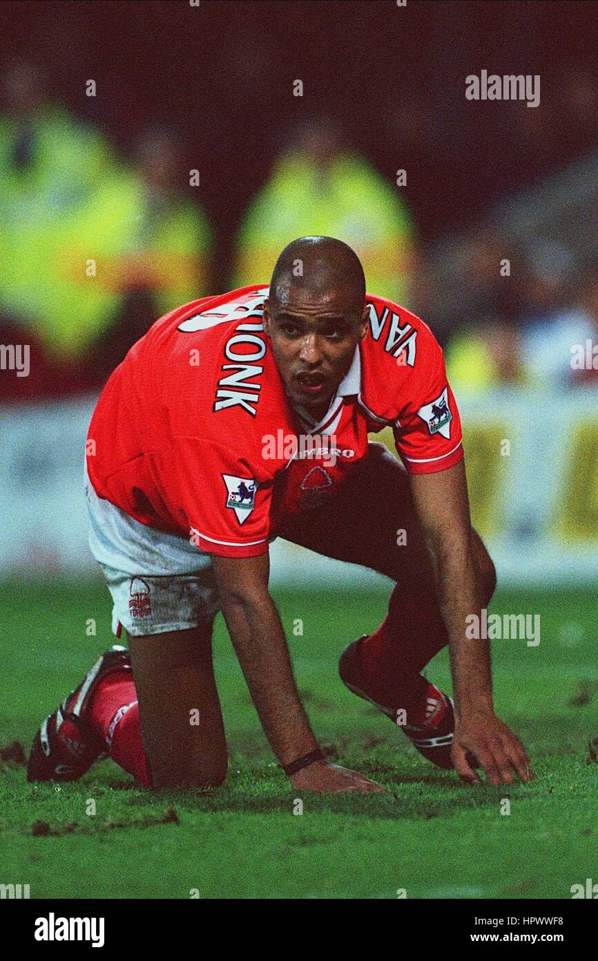 Van hooijdonk forest hi-res stock photography and images - Alamy