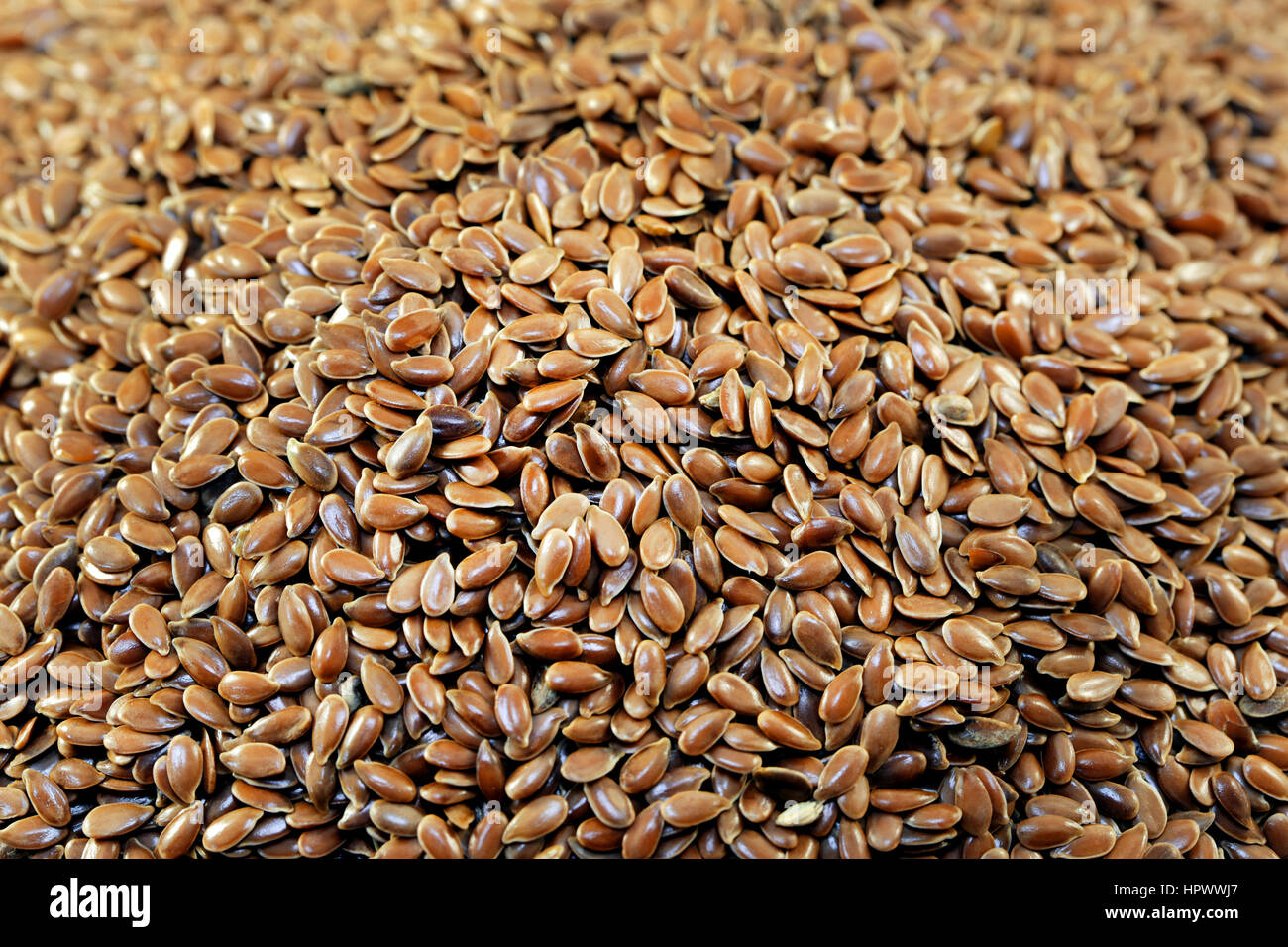 Seeds of flax photographed in close up Stock Photo - Alamy