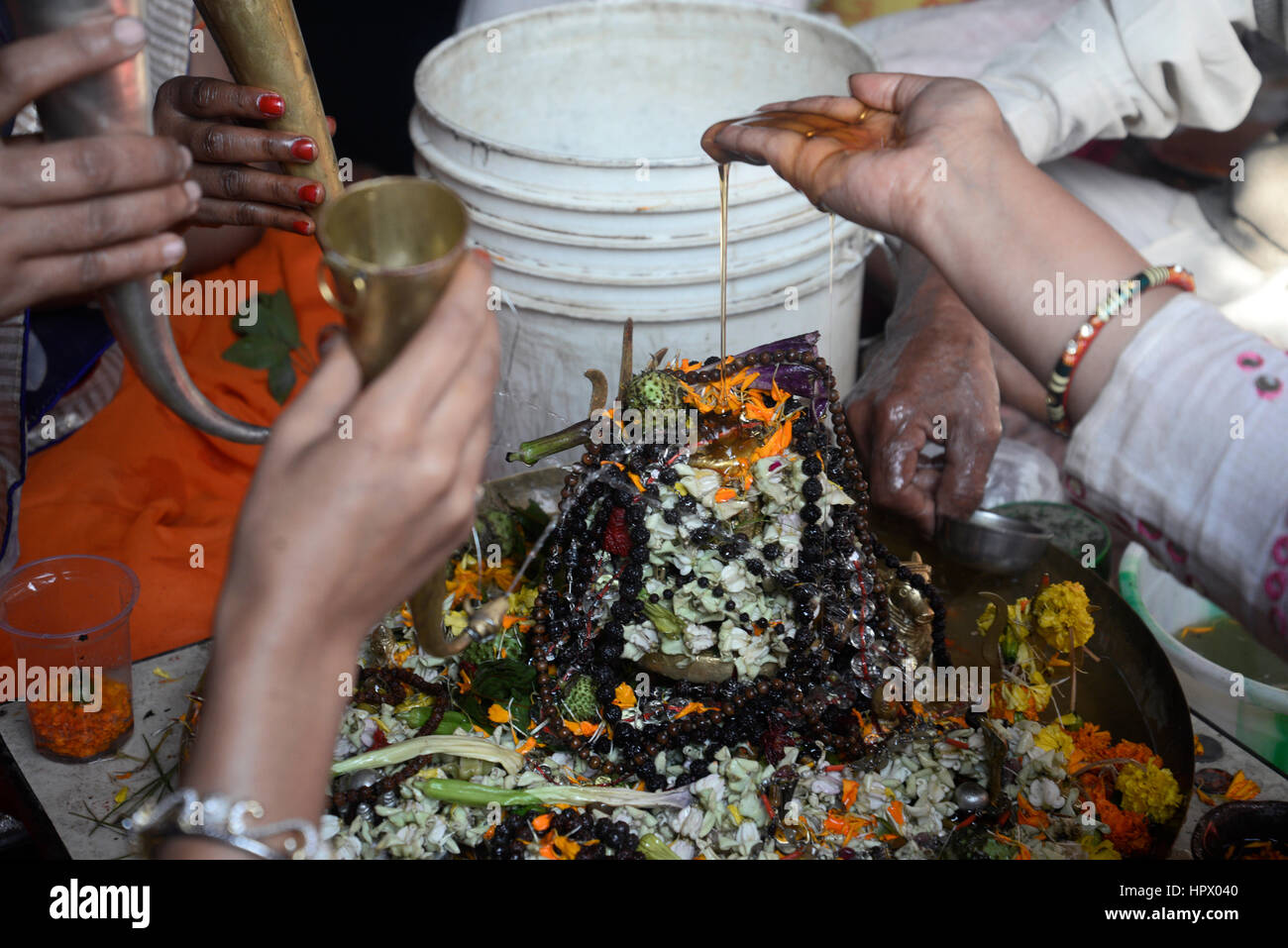 Indian Hindu devotee busy worships Lord Shiva on the occasion of Maha ...