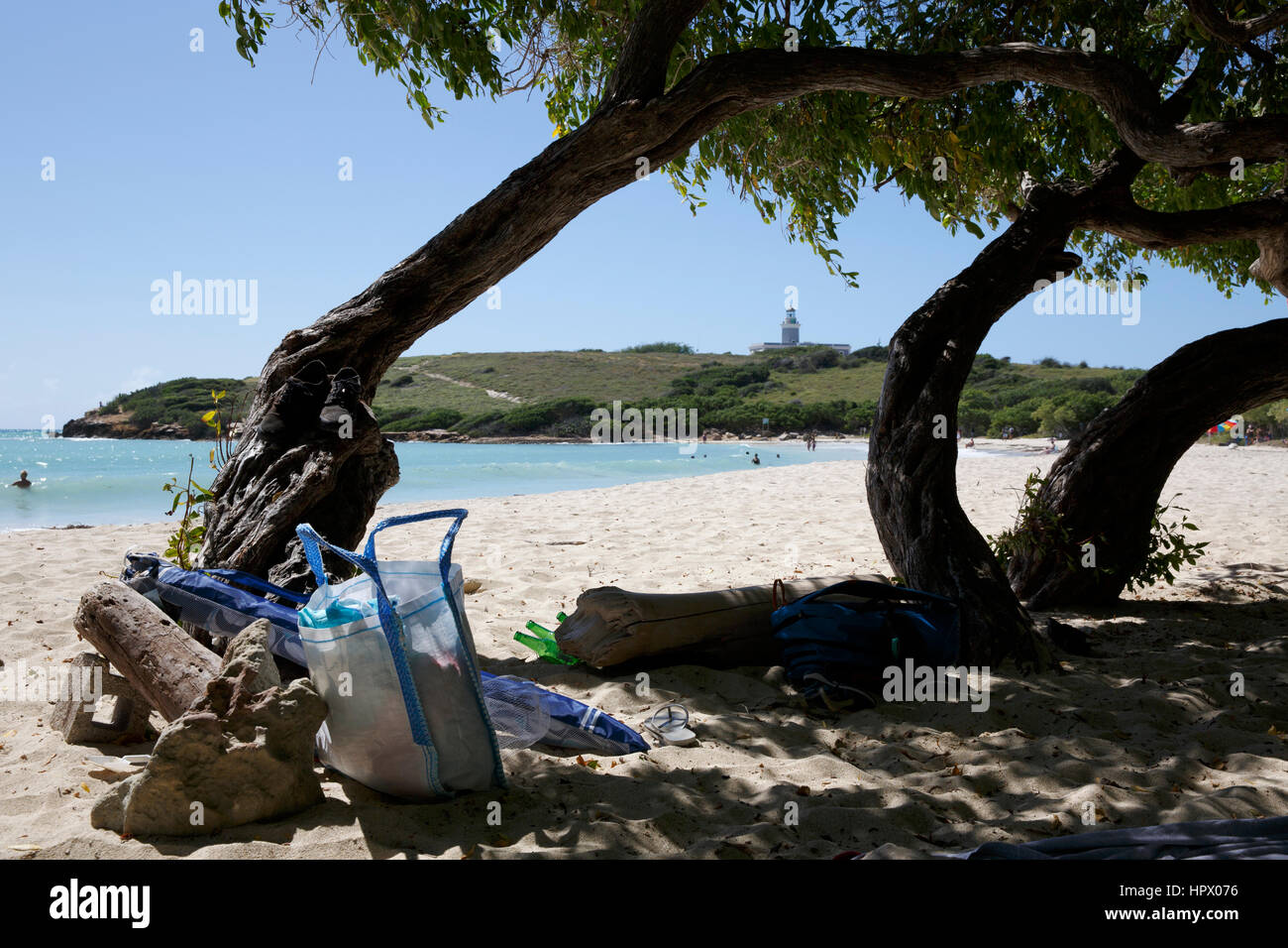 Shade trees on the beach, Cabo Rojo, Puerto Rico Stock Photo - Alamy
