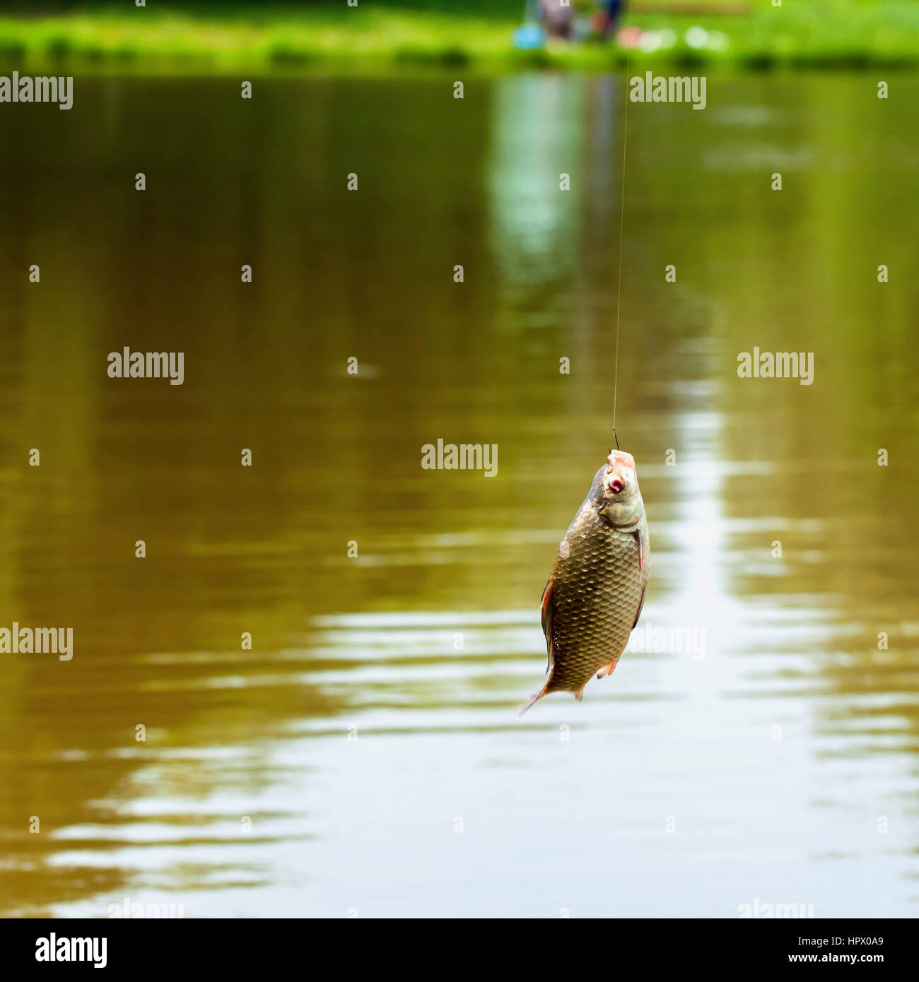 Cartoon happy goldfish hi-res stock photography and images - Alamy