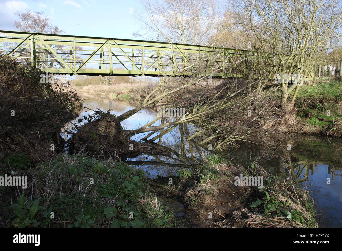A scenic shot of a small river with a tree blocking the flow after ...