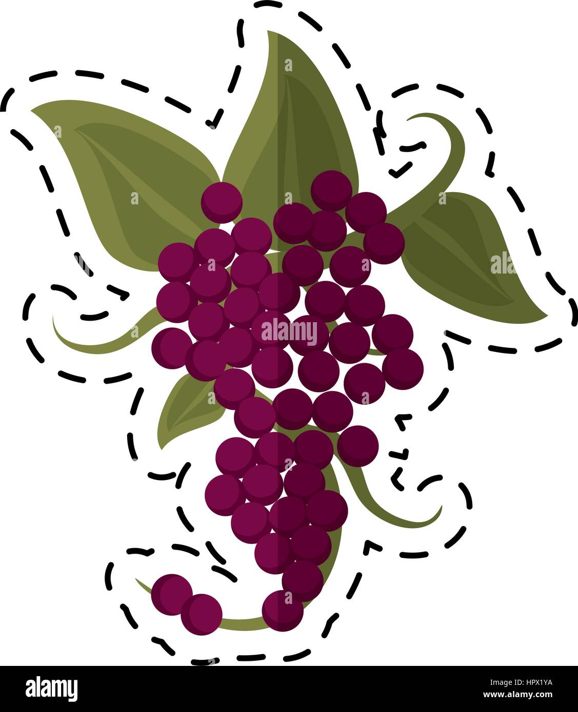 Cartoon bunch grape wine icon hi-res stock photography and images - Alamy