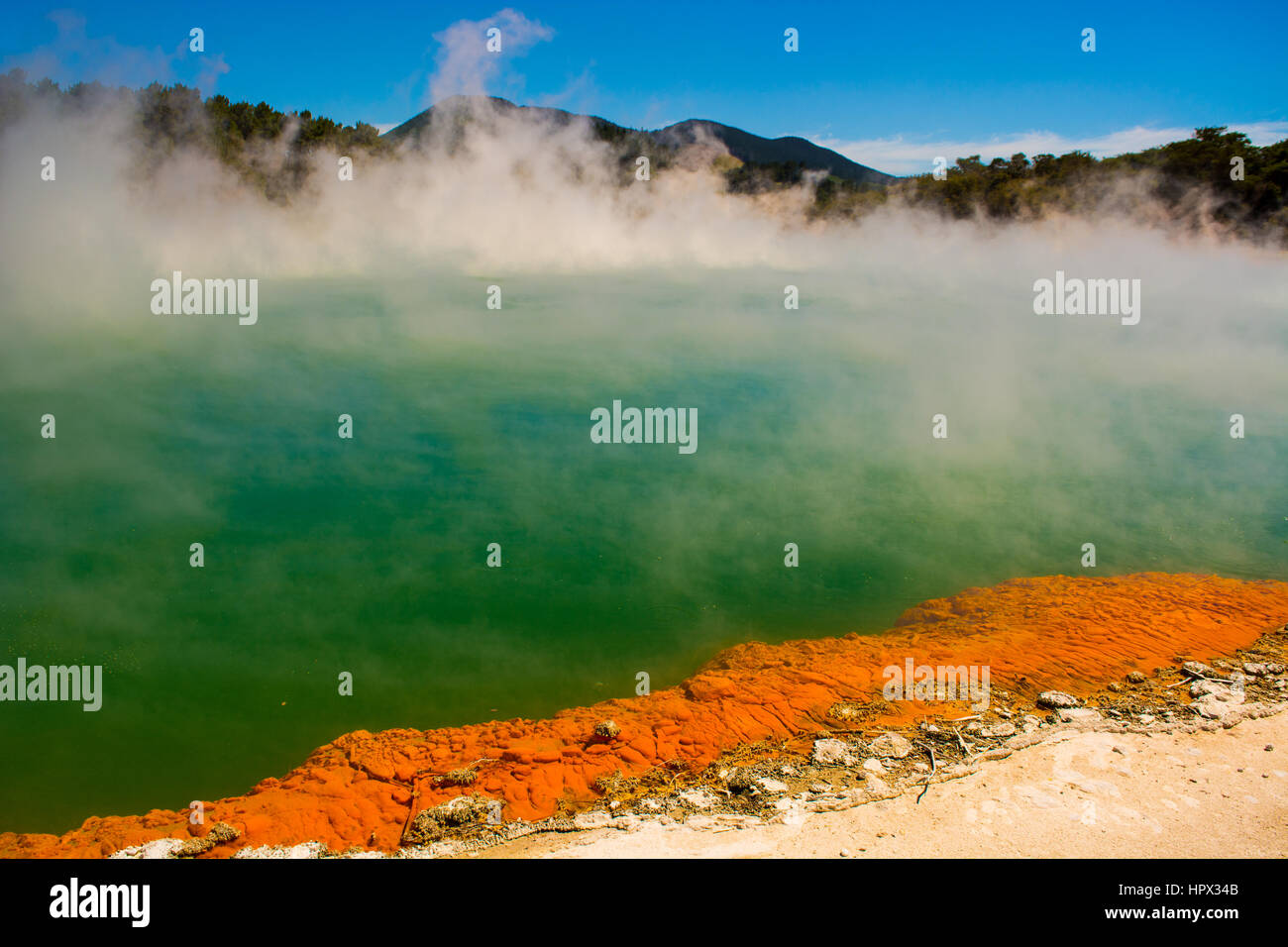 Tapu bay new zealand hi-res stock photography and images - Alamy