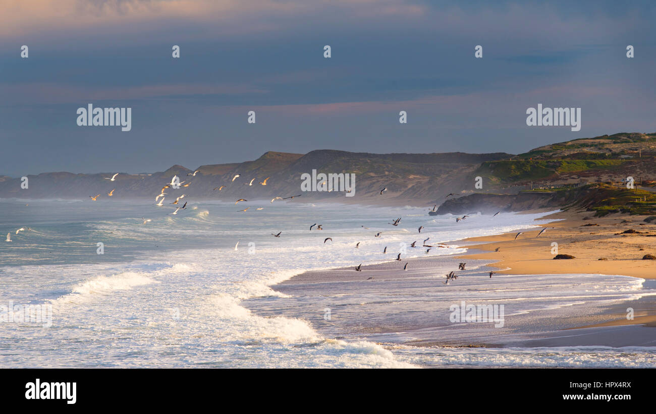 Monterey waves surf hi-res stock photography and images - Alamy