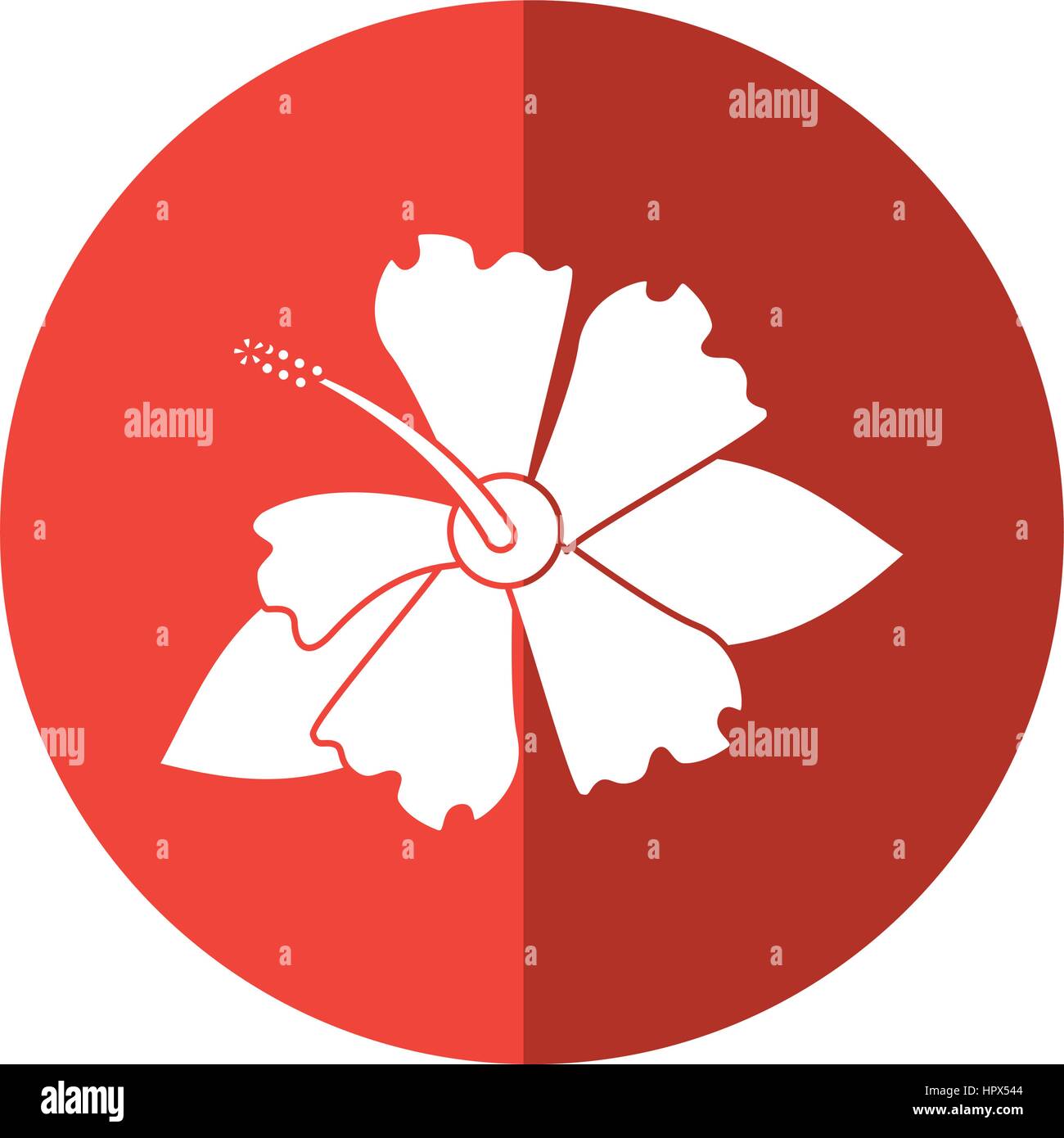 hibiscus flower exotic shadow Stock Vector Image & Art - Alamy