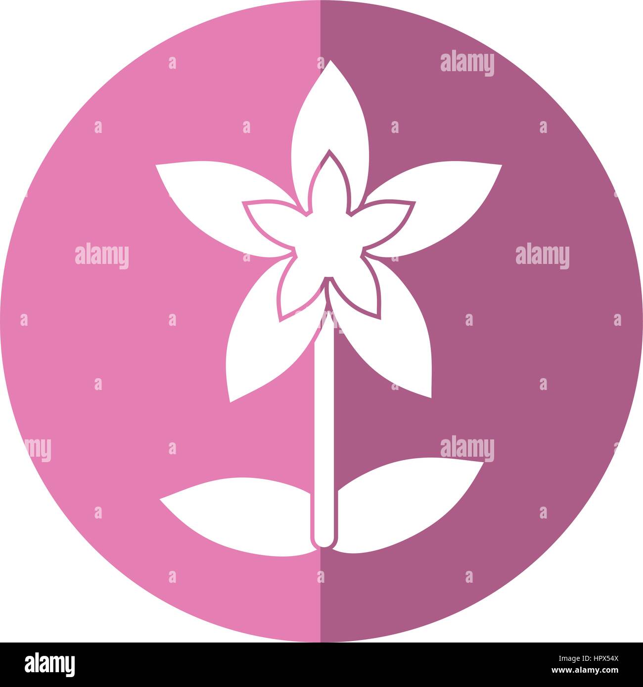 flower tropical exotic shadow Stock Vector Image & Art - Alamy