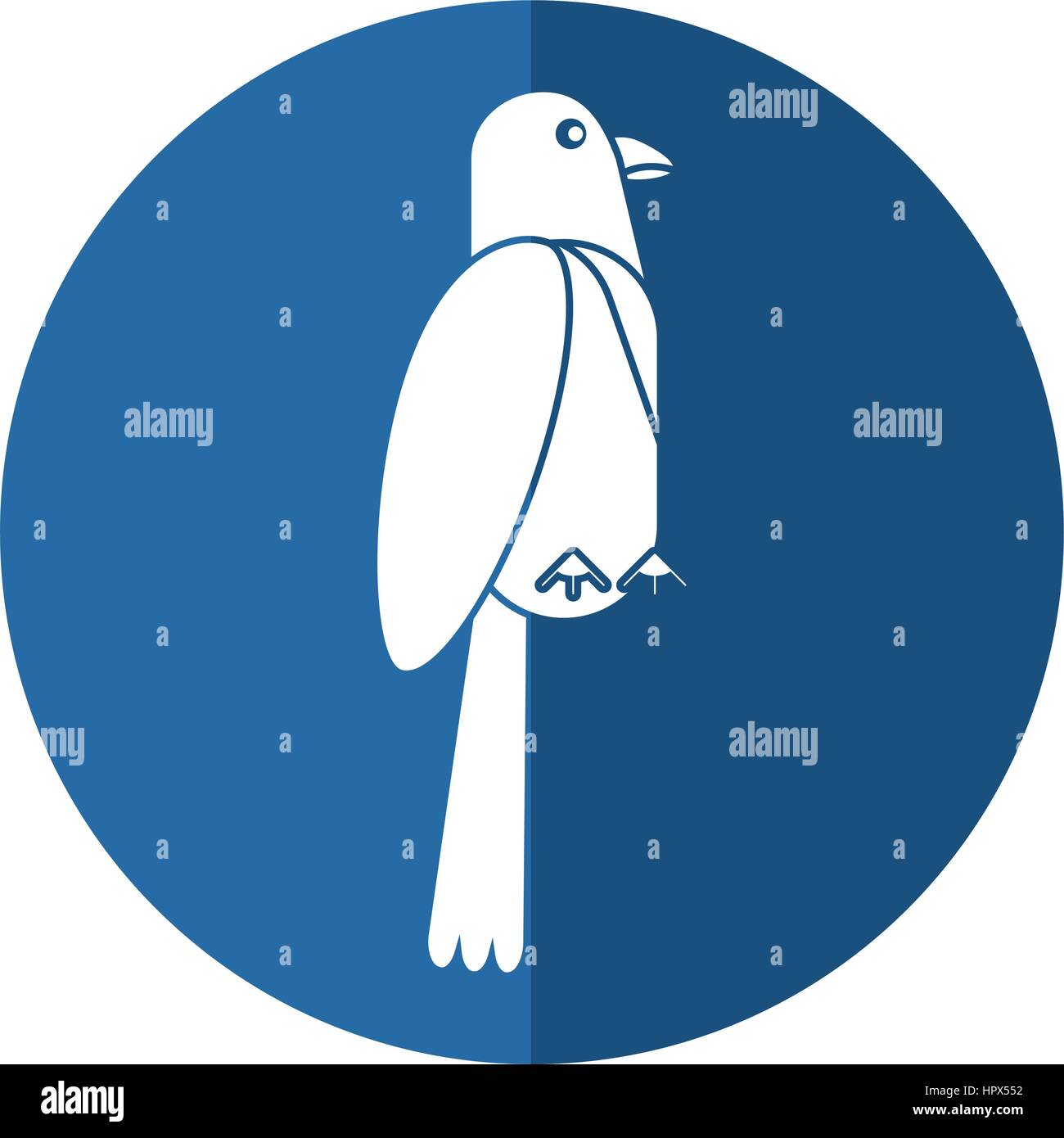 parrot exotic bird nature shadow Stock Vector Image & Art - Alamy