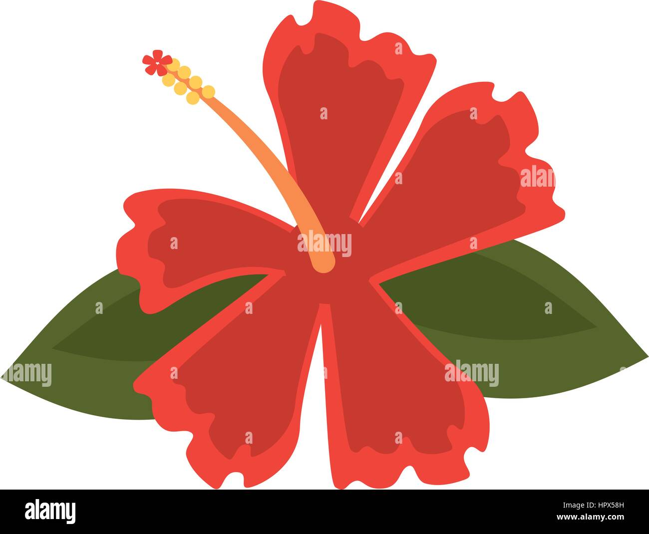hibiscus flower exotic icon Stock Vector Image & Art - Alamy
