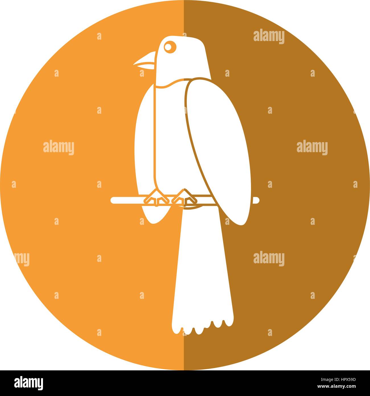 parrot bird animal icon shadow Stock Vector Image & Art - Alamy