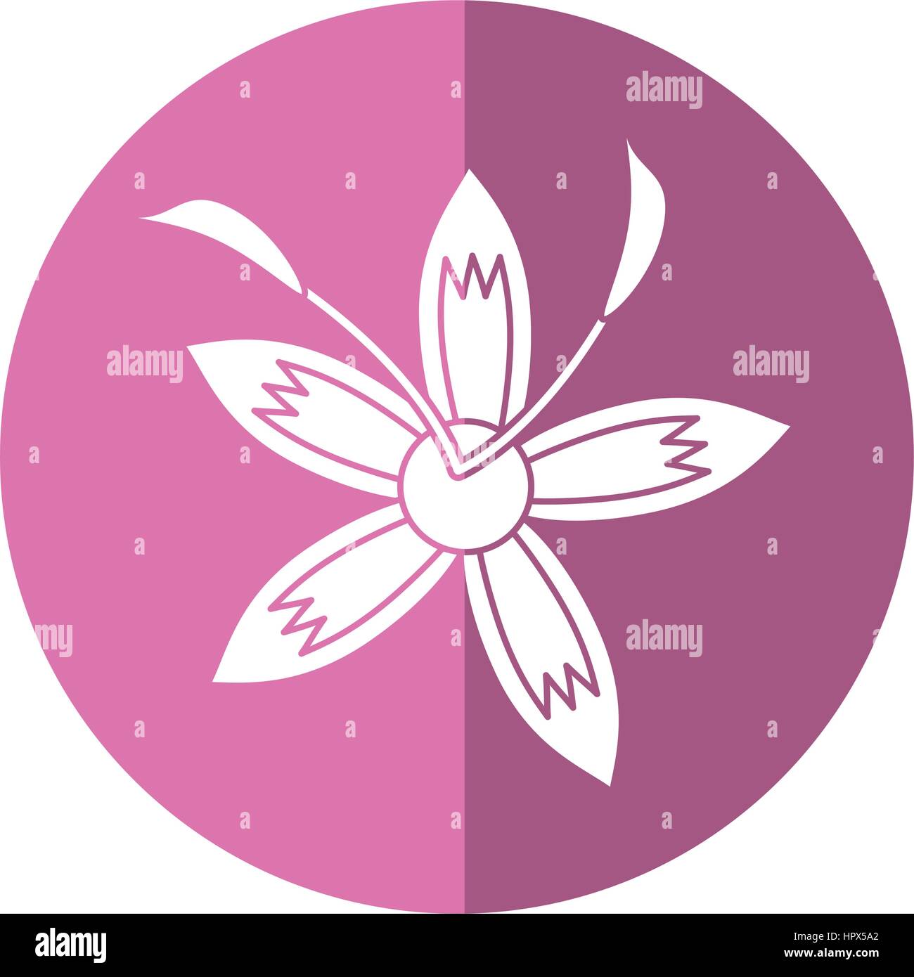 flower daylily beautiful flora shadow Stock Vector Image & Art - Alamy