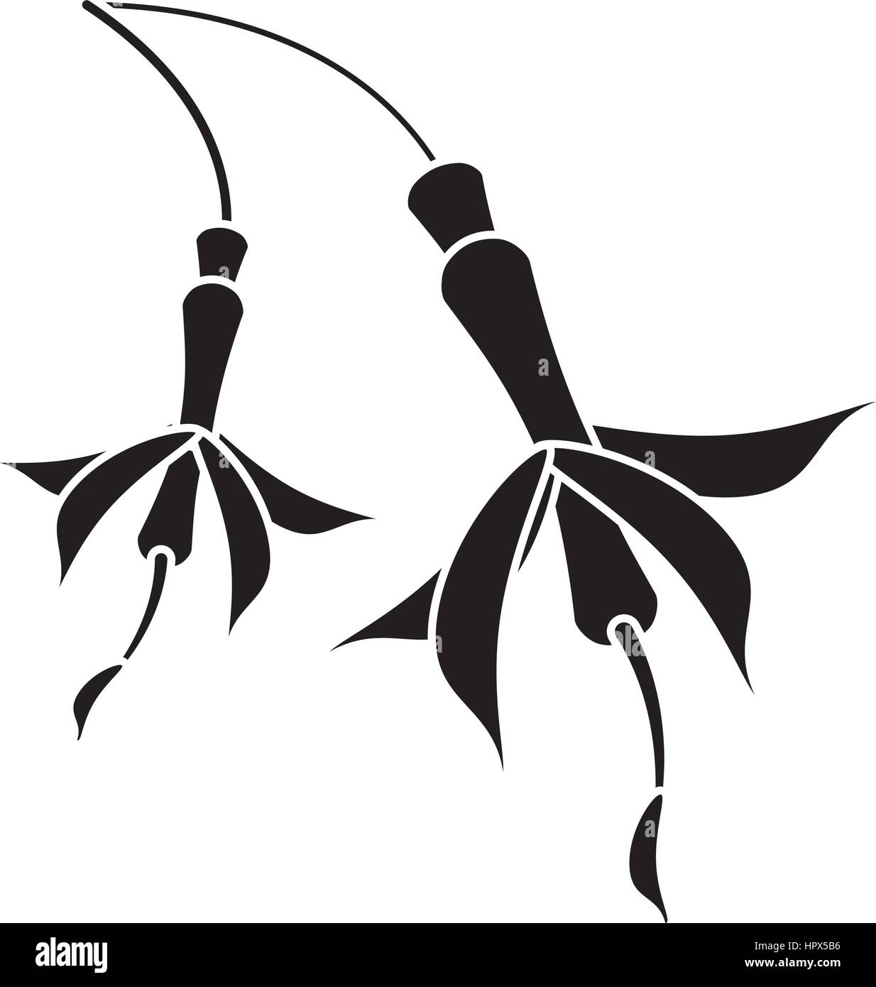 flower petal natural pictogram Stock Vector Image & Art - Alamy