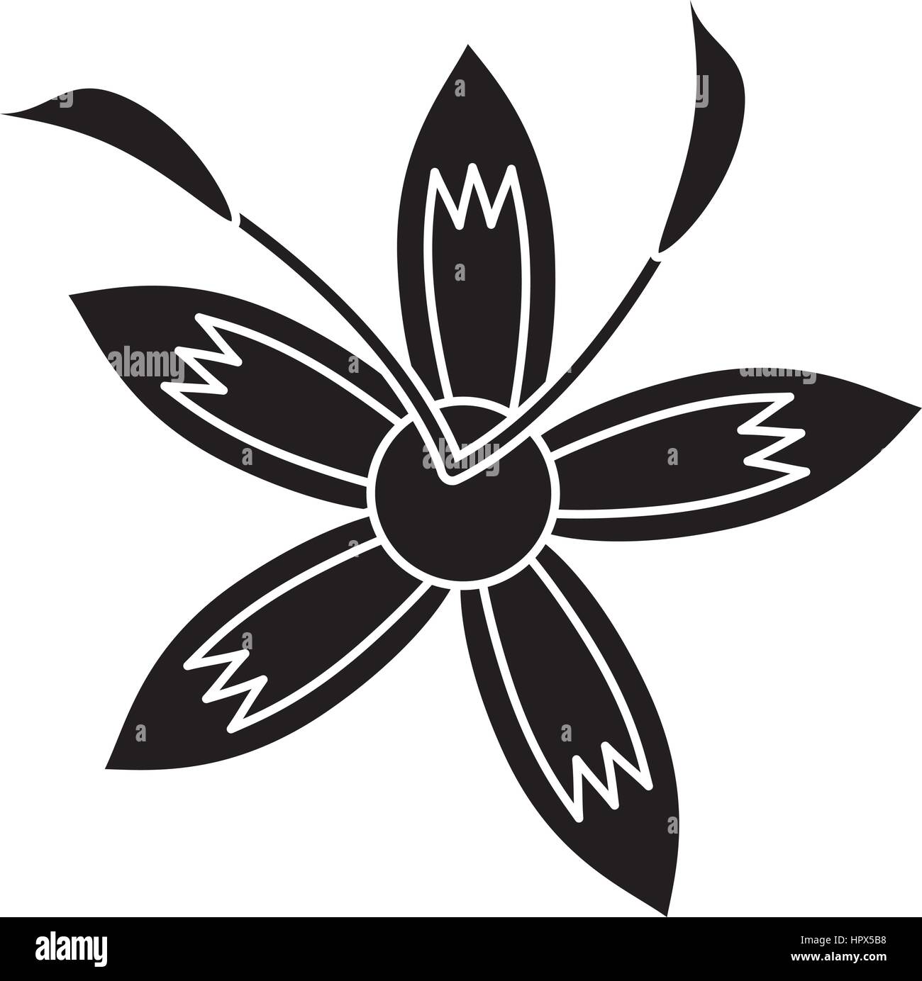 flower daylily beautiful flora pictogram Stock Vector Image & Art - Alamy