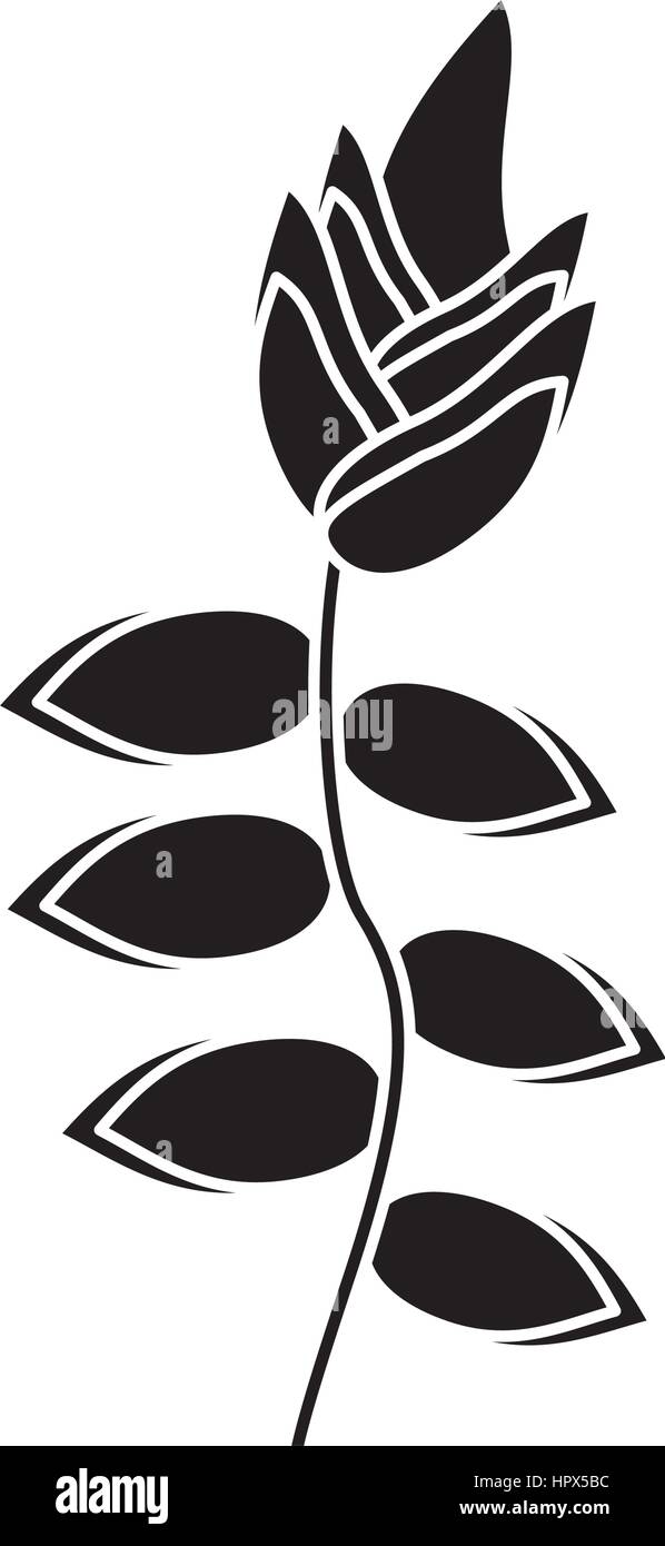 Flowers plants title Stock Vector Images - Alamy