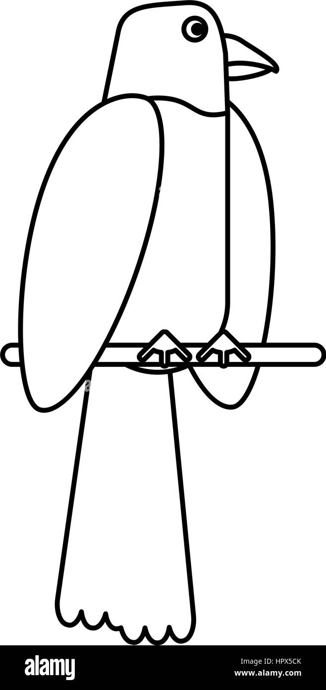 Cover design print parrot Stock Vector Images - Alamy