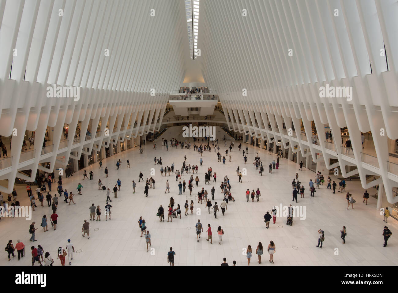 Oculus center at the World Trade Center transportation hub Stock Photo ...