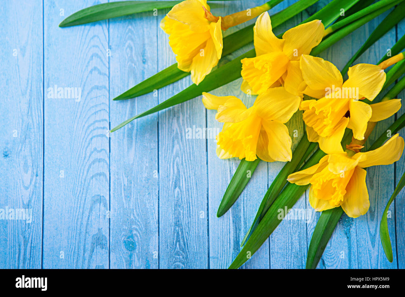 Beautiful floral corner with daffodils flowers selected on wooden ...