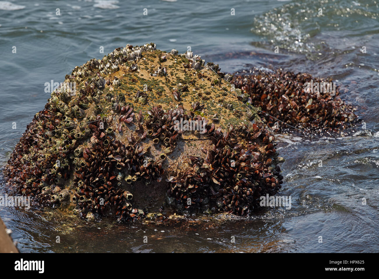 Beach of Sea with triangle artificial stones. Defense against sea power ...