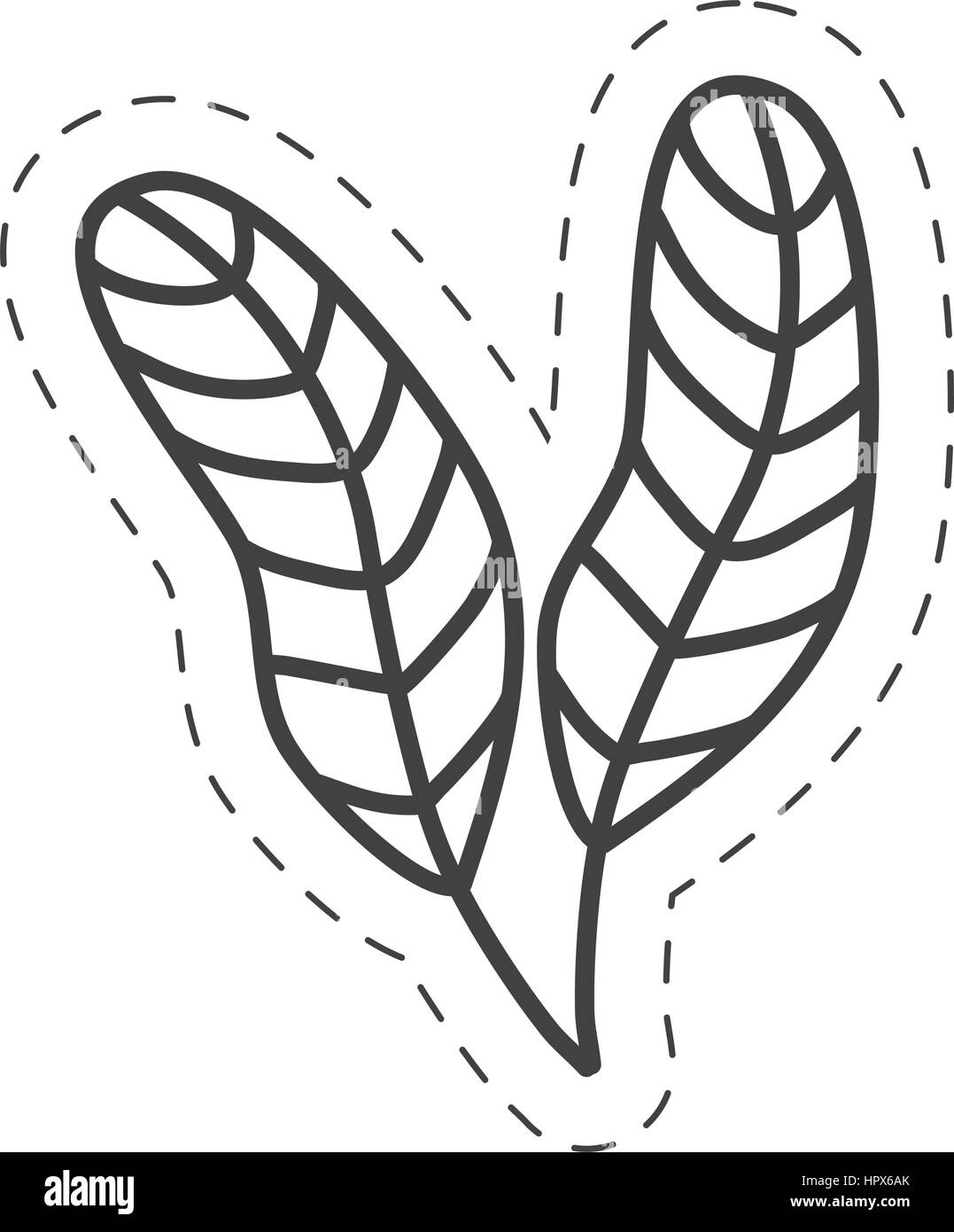 Thin feathers Stock Vector Images - Alamy