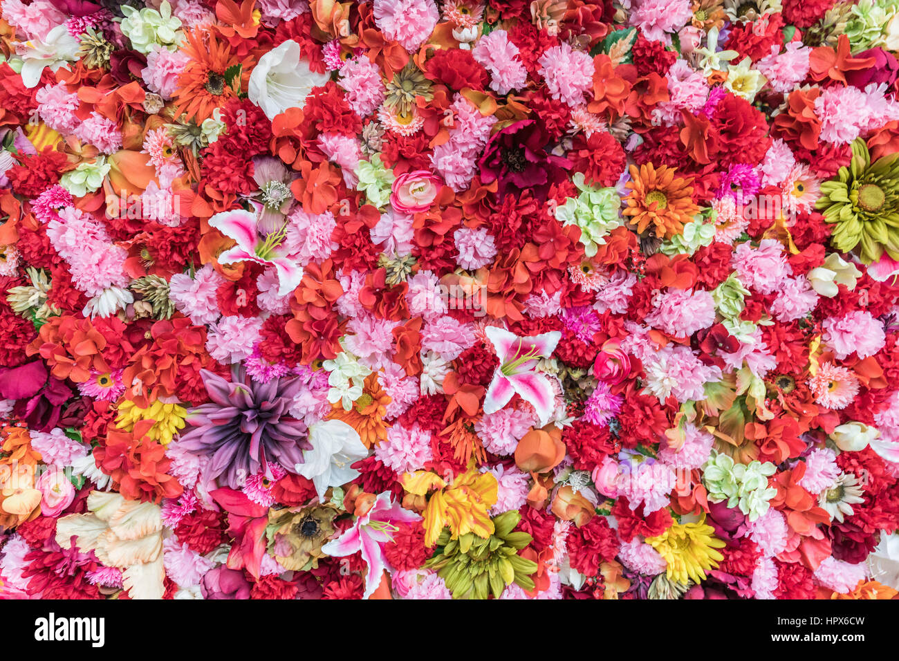 Floral colored background. Many flowers arranged in the substrate. The ...
