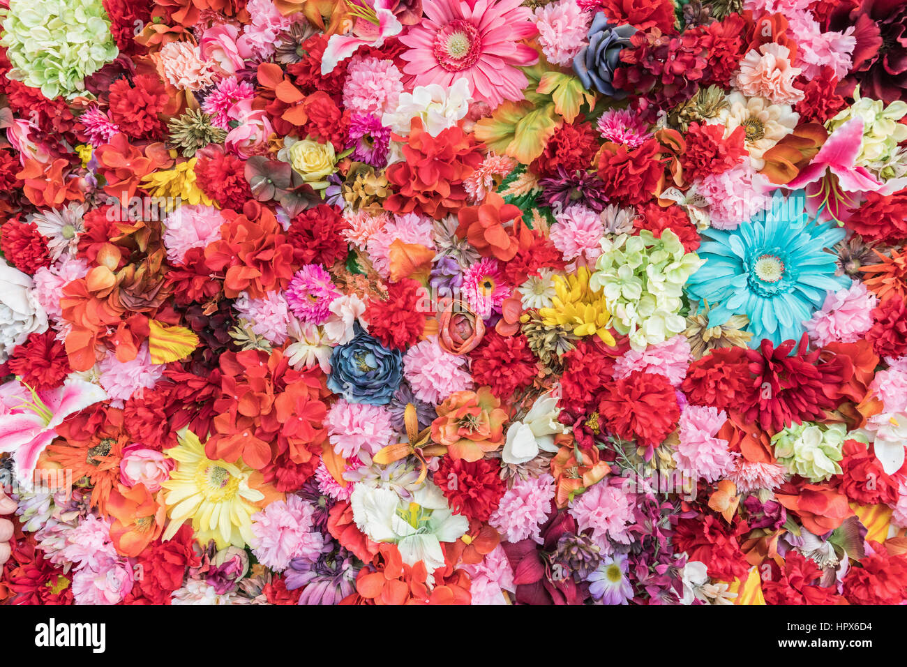 Floral colored background. Many flowers arranged in the substrate. The ...